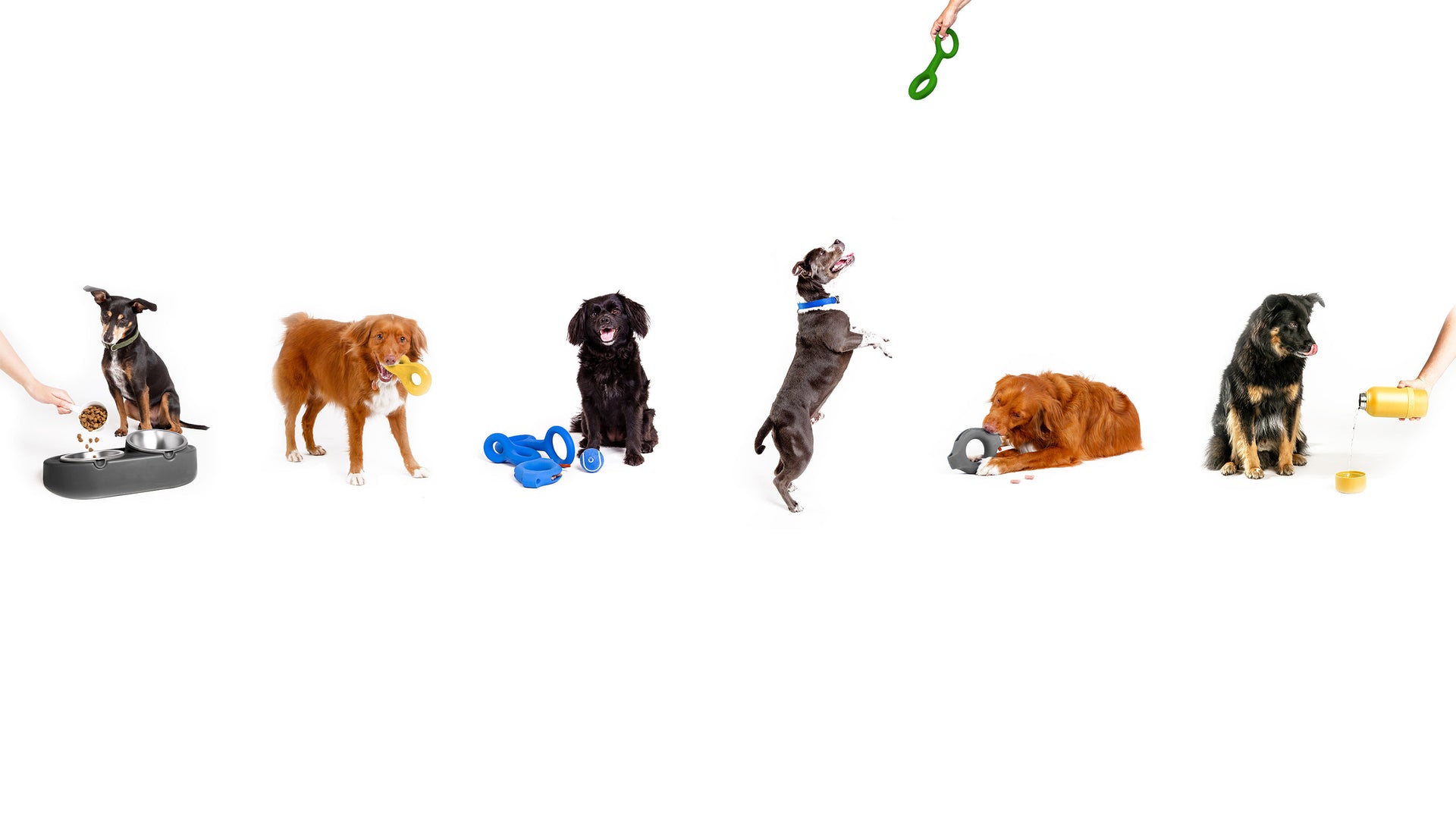 Ubbi® Official Site - Baby and Pet Essentials – ubbiworld